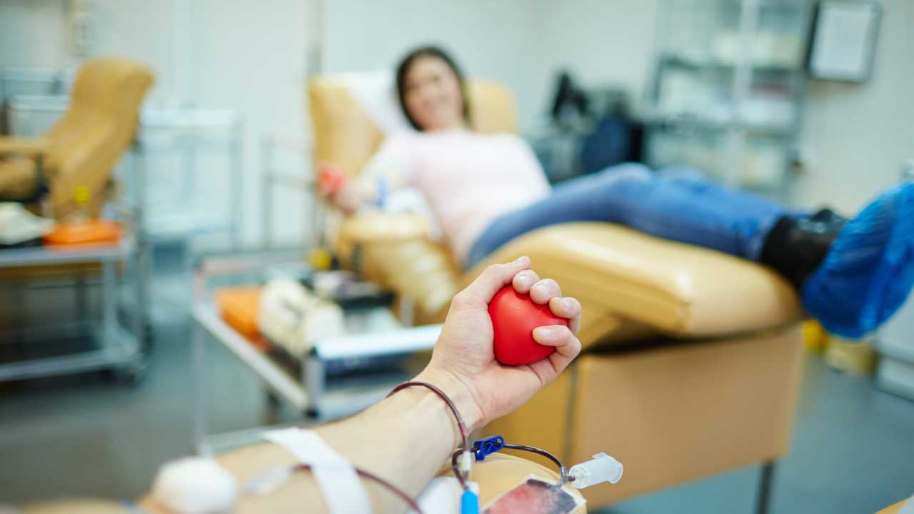Tudo aquilo que precisa de saber para doar sangue