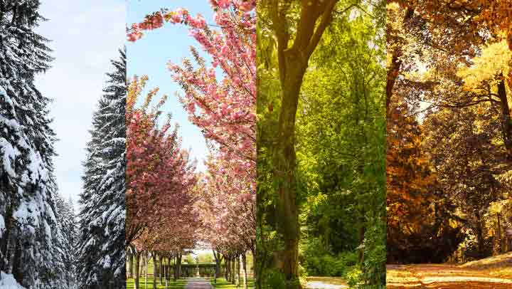 Quando começam as estações do ano em Portugal?
